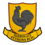 Harrogate Pythons RUFC