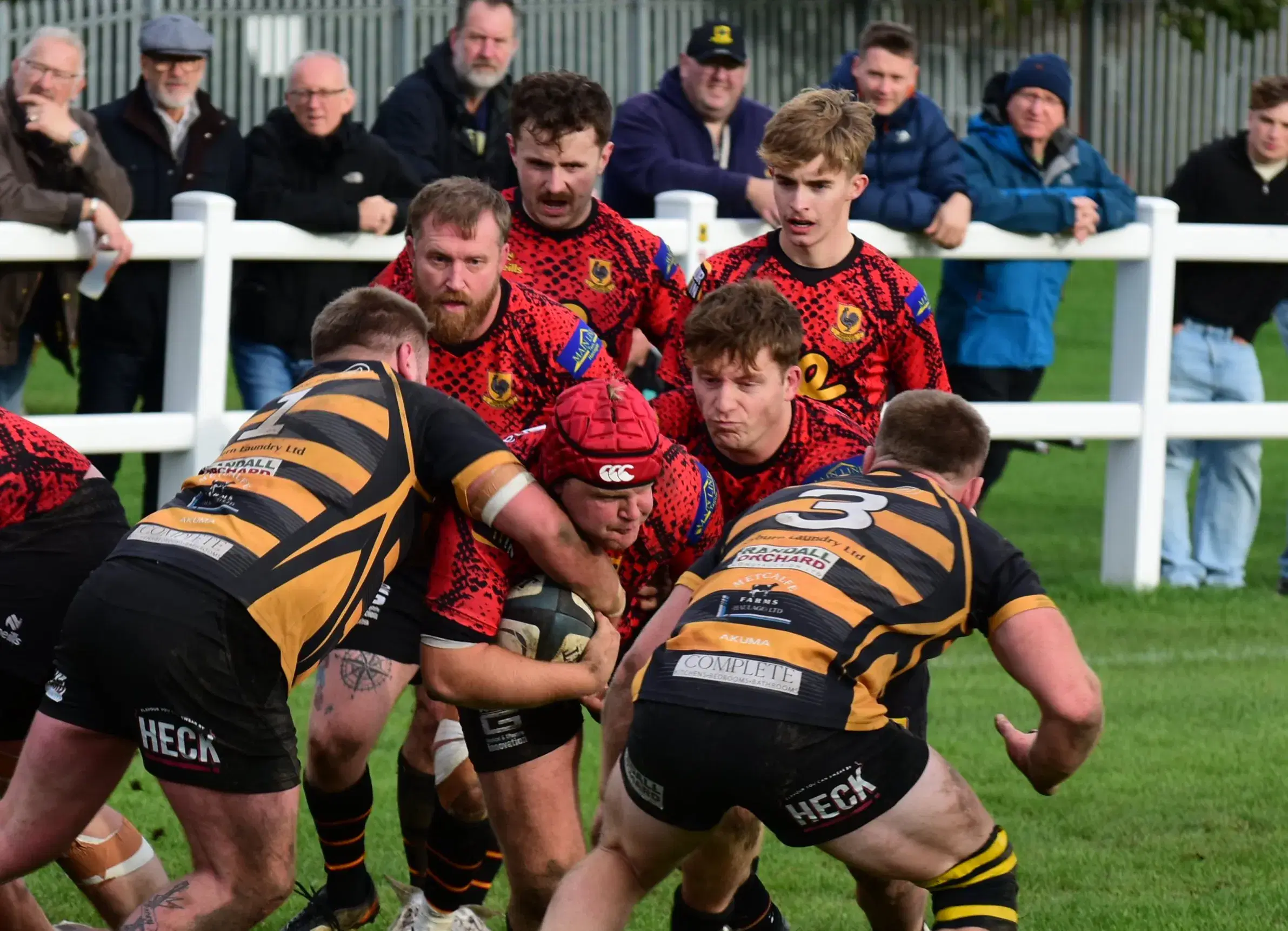 Pythons loose out to Wensleydale - Harrogate Pythons